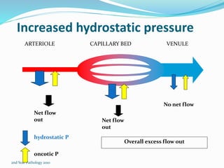 Hyperemia and congestion edema | PPTX