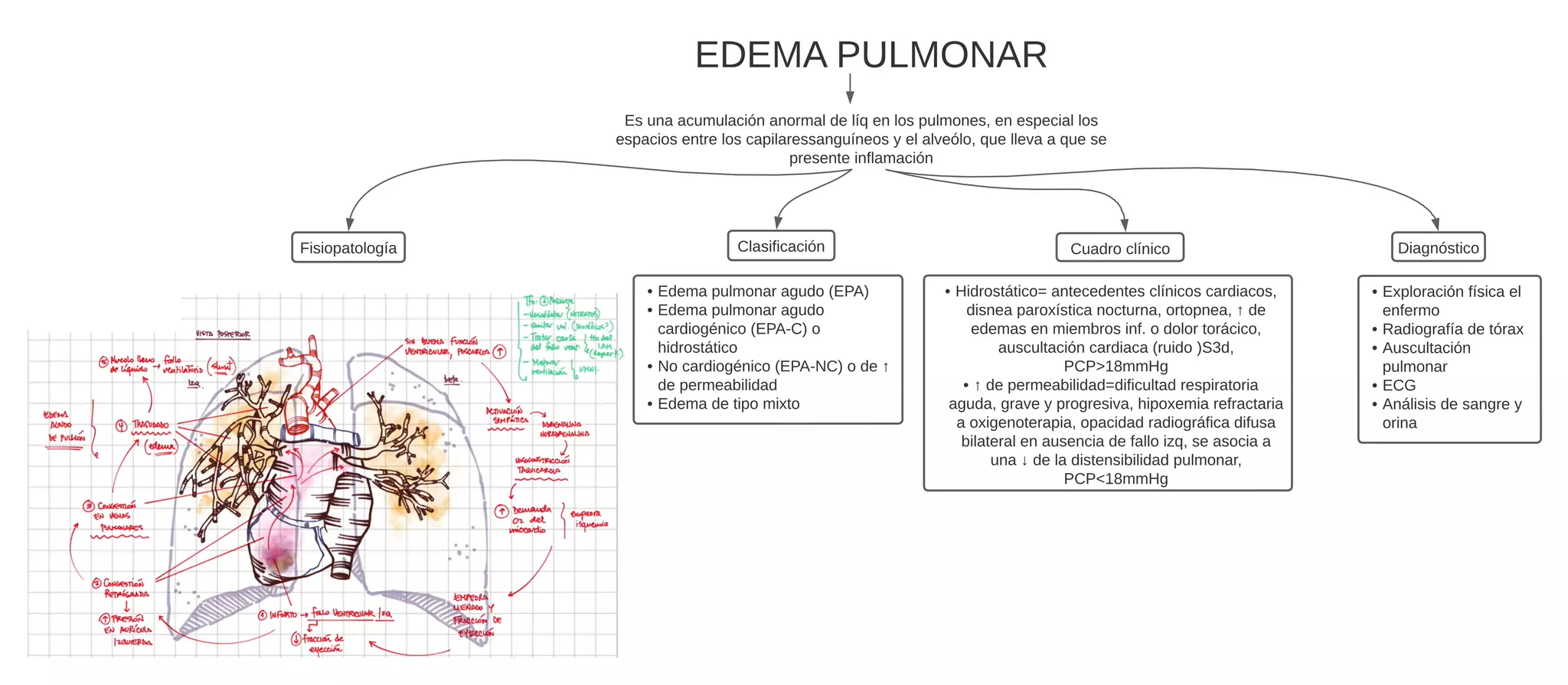 Edema pulmonar.pdf