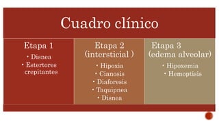 Edema pulmonar agudo CONCEPTOS TRATAMIENTO | PPTX