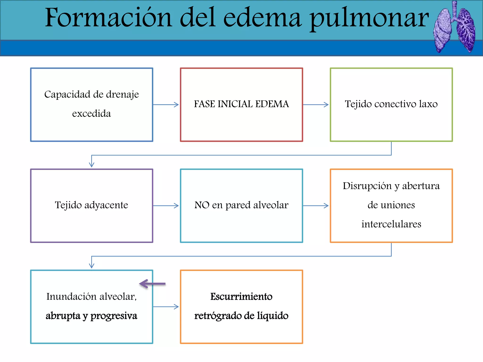 Edema pulmonar agudo y cor pulmonar crónico | PPTX | Lung and ...