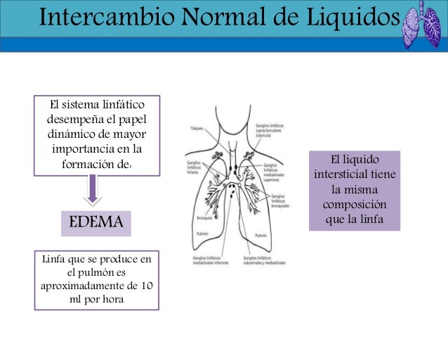 Edema Pulmonar Causas Sntomas Y Tratamientos