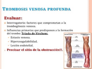 EDEMA VASCULAR con enfoque en semiologia | PPTX