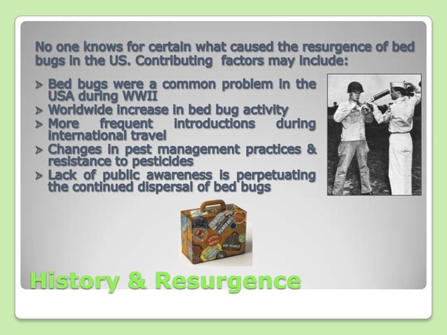 Eden Bed Bug Training Curriculum | PPTX