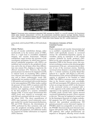 Ed endotlemium | PDF