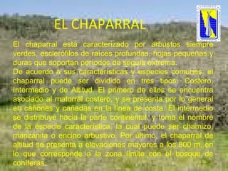 ECOSISTEMAS | PPT