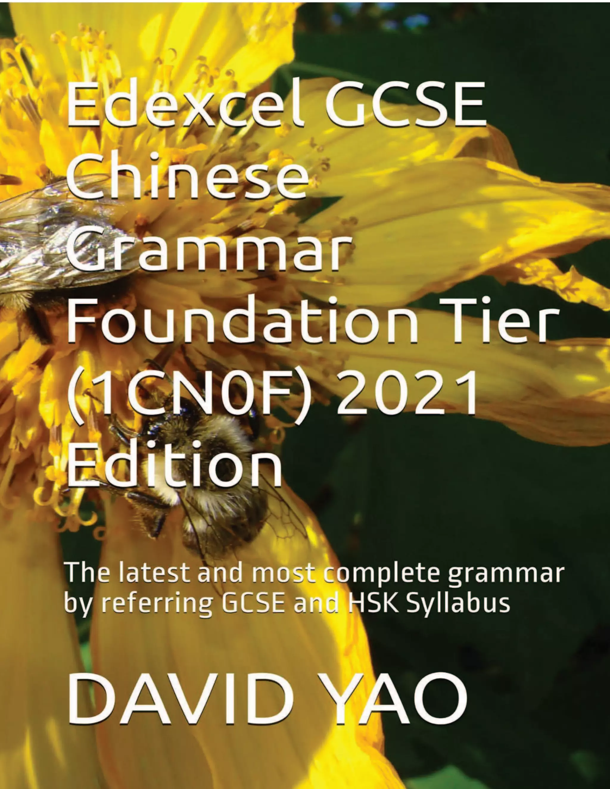 Edexcel GCSE Chinese Grammar Foundation Tier (1CN0F) 2021 Edition ...