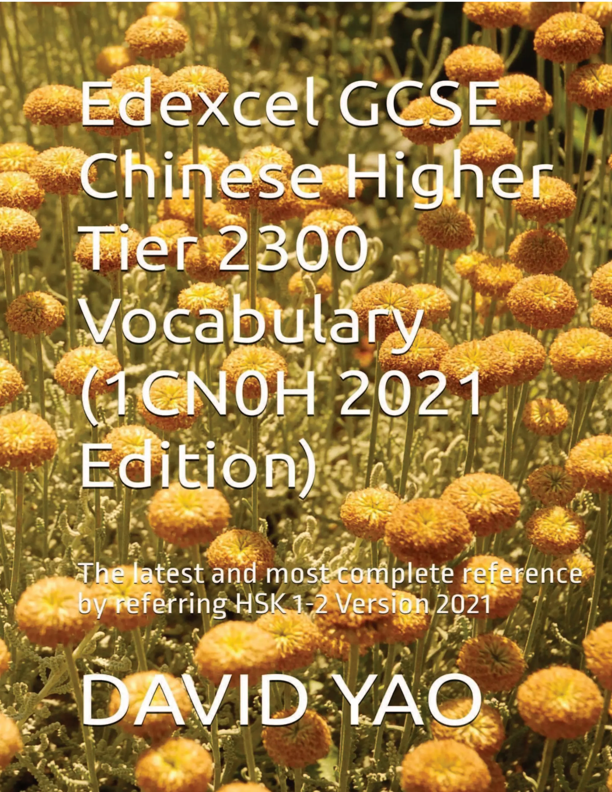 Edexcel GCSE Chinese Higher Tier 2300 Vocabulary (1CN0H 2021 Edition ...