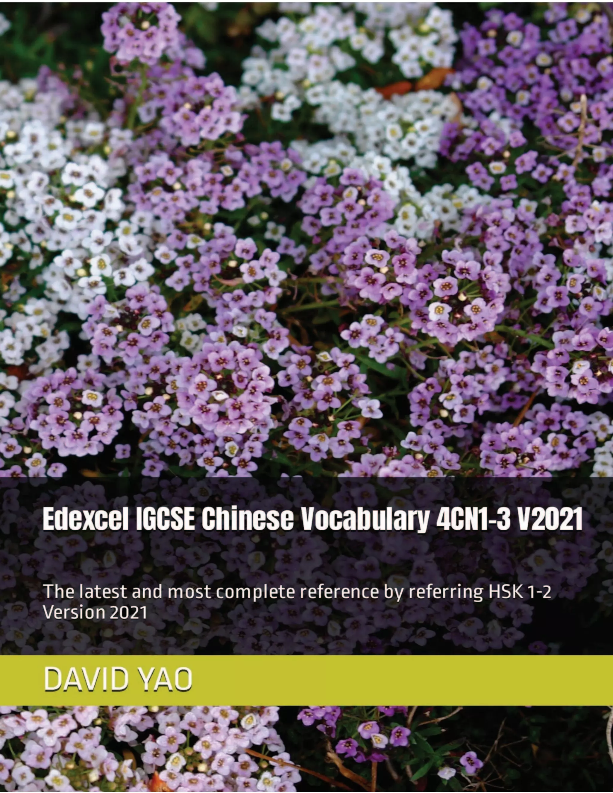 Edexcel IGCSE Chinese Vocabulary 4CN1-3 V2021-Edexcel GCSE 中学会考汉语水平考试词汇 ...