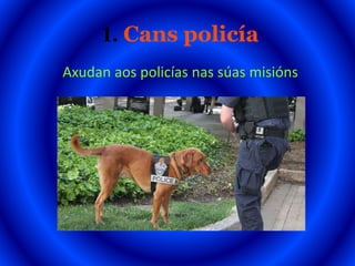 Edgar cans de rescate | PPTX