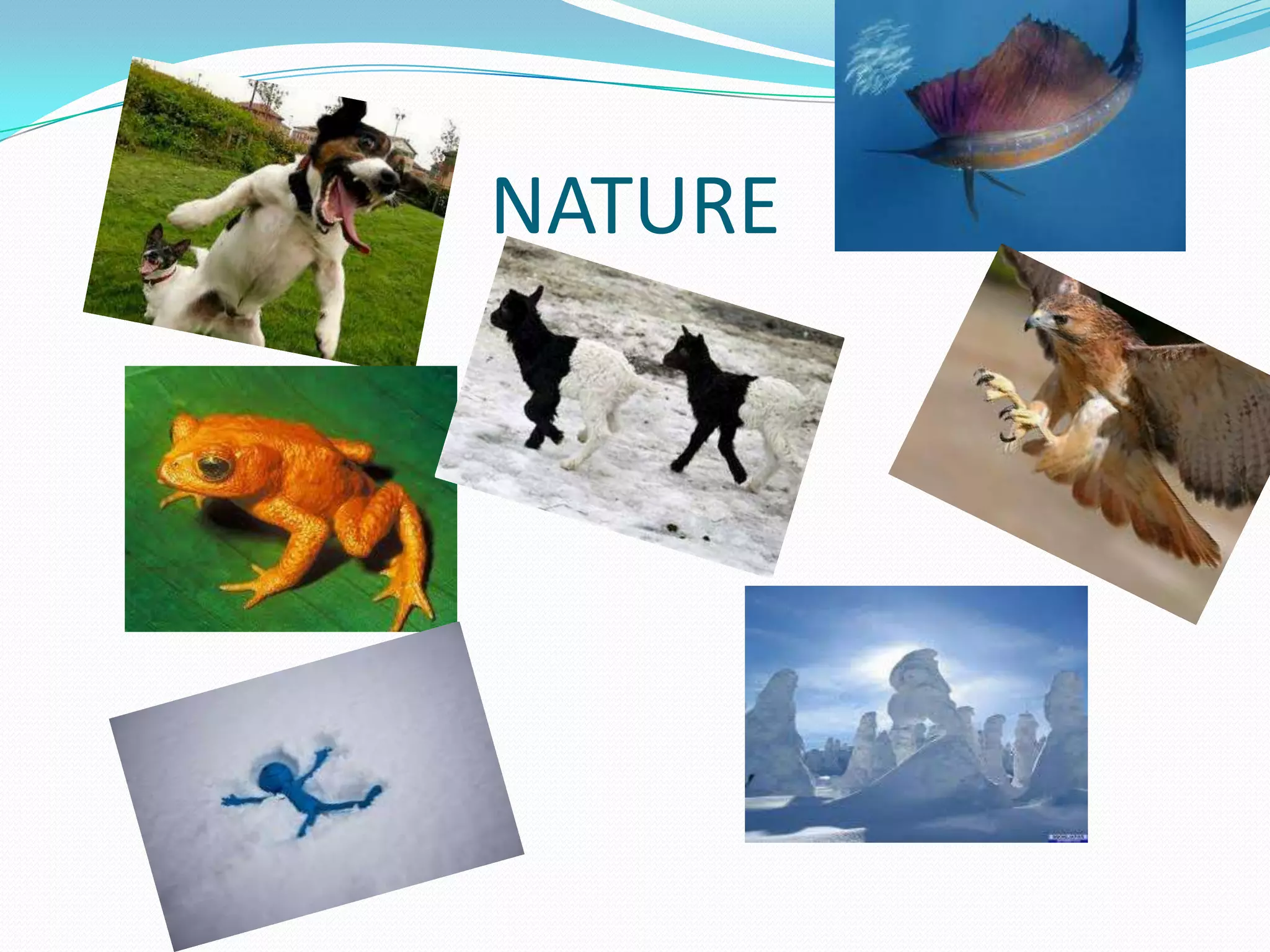 GLOBAL WARMING BY EDGARS MELNIS | PPT