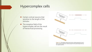 Edge detection | PPT