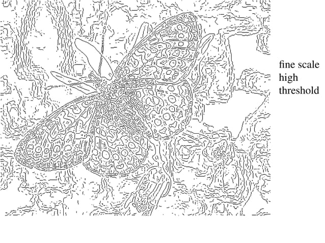 Canny Edge Detection In Image Processing Ppt Technology And Computing