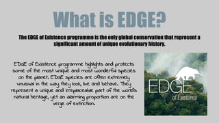 Edge of existence! | PPTX