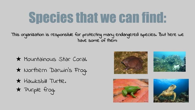 Edge of existence! | PPTX