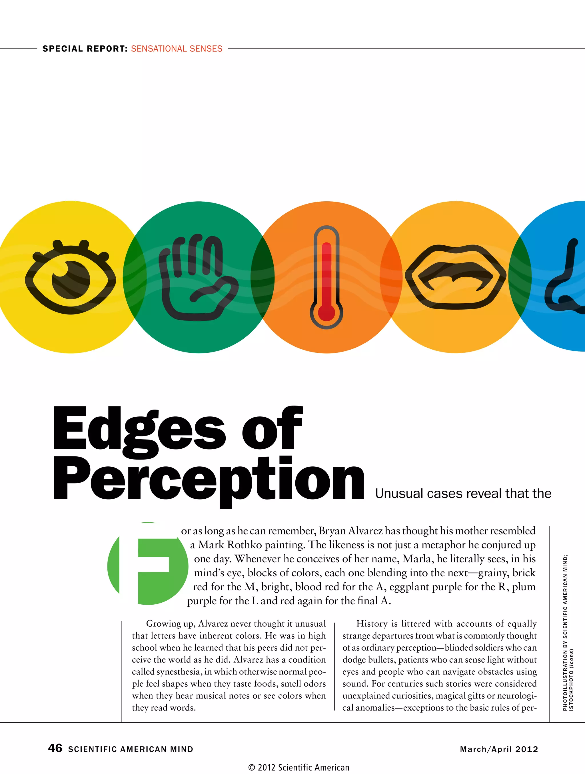 Edges of perception | PDF