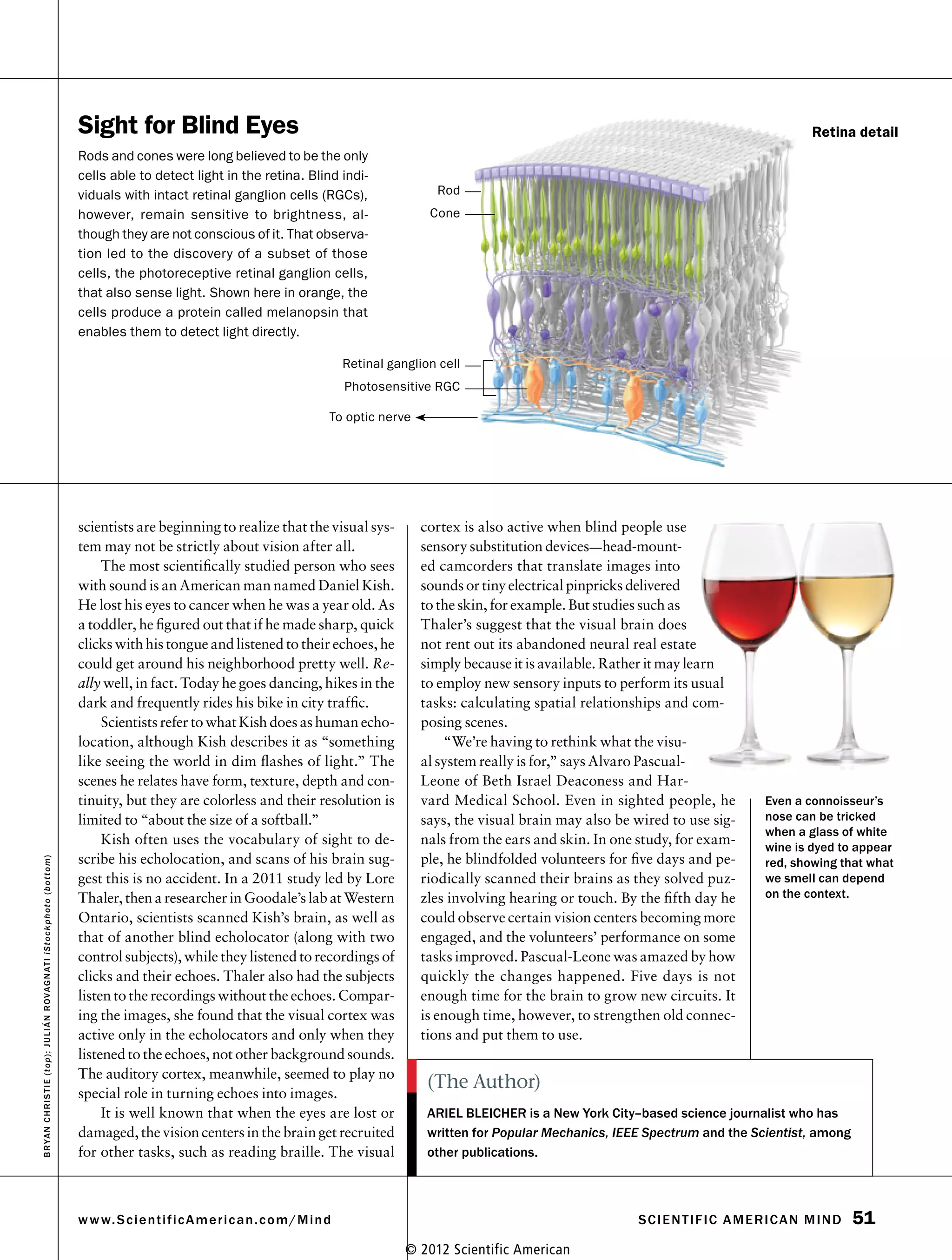 Edges of perception | PDF