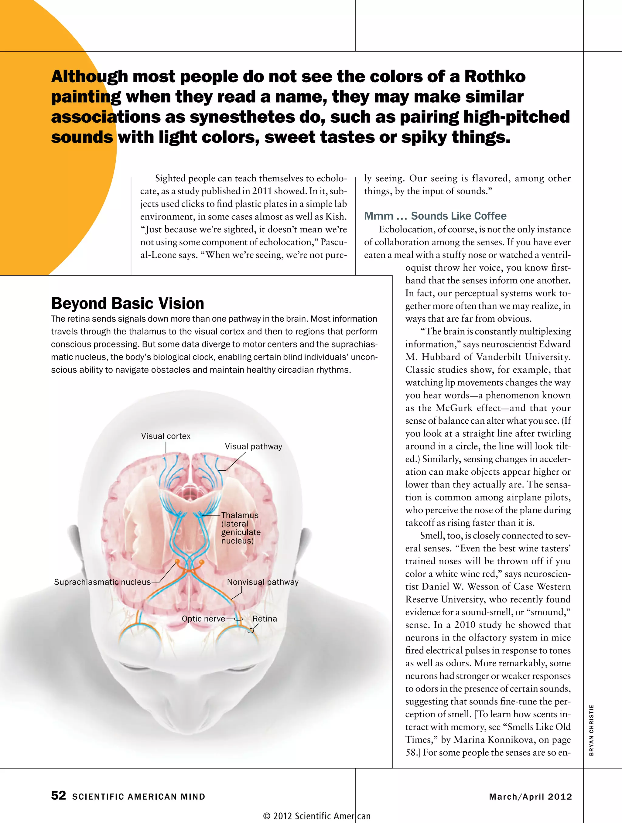 Edges of perception | PDF