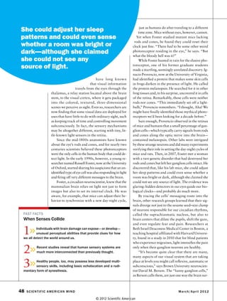 Edges of perception | PDF