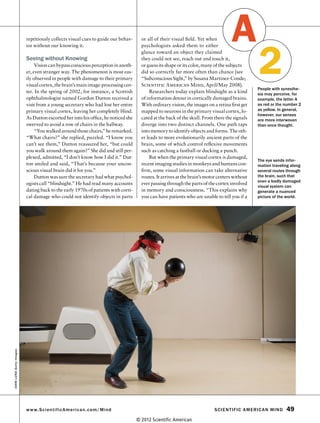 Edges of perception | PDF