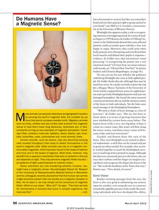 Edges of perception | PDF