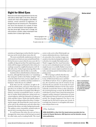 Edges of perception | PDF