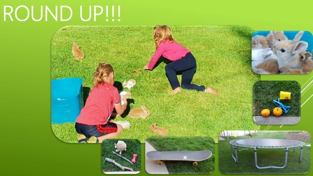 Edging Made Easy | PPT