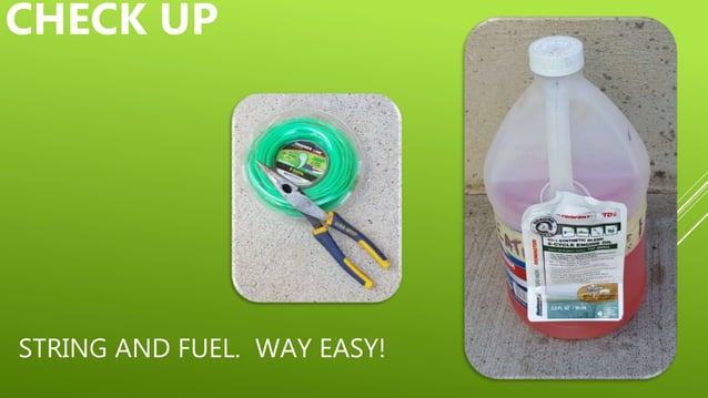 Edging Made Easy | PPT