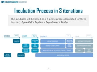 Edi European Data Incubator Public Presentation Pdf