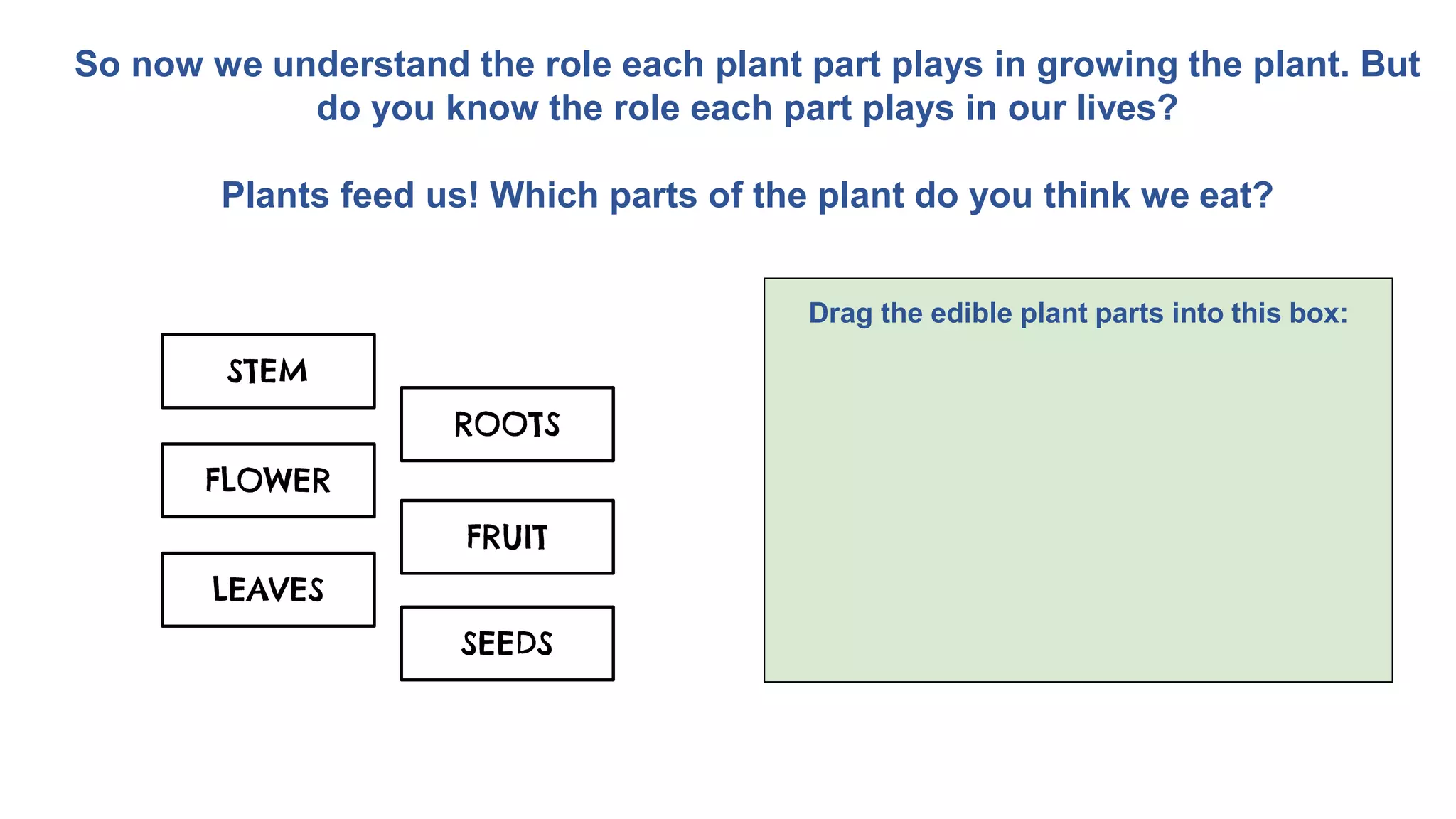 Edible-Plant-Parts-Scavenger-Hunt-Grades-1-3-Student-Edition.pptx