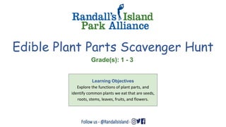 Edible-Plant-Parts-Scavenger-Hunt-Grades-1-3-Student-Edition.pptx