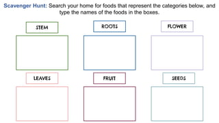 Edible-Plant-Parts-Scavenger-Hunt-Grades-1-3-Student-Edition.pptx