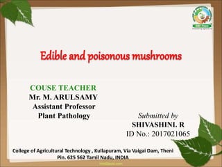 Edible and poisonous mushrooms | PPT
