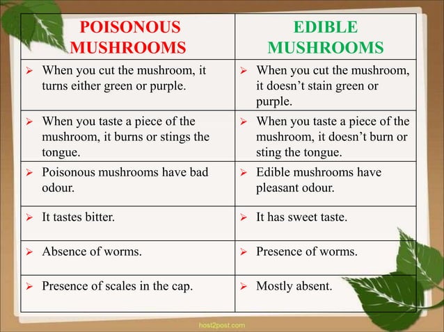 Edible and poisonous mushrooms