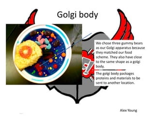 Plant Cell Golgi Body Candy
