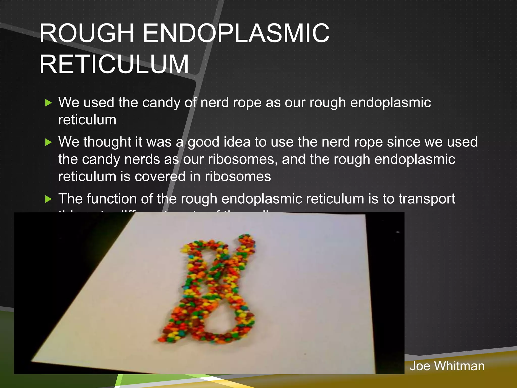 Edible cell power point Team Nilla Wafer | PPTX