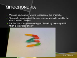 Edible cell power point Team Nilla Wafer | PPTX