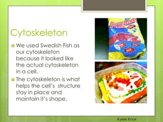 Edible Cell Presentation | PPTX | Biological Sciences | Science