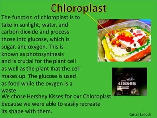 Edible Cell Presentation | PPTX | Biological Sciences | Science