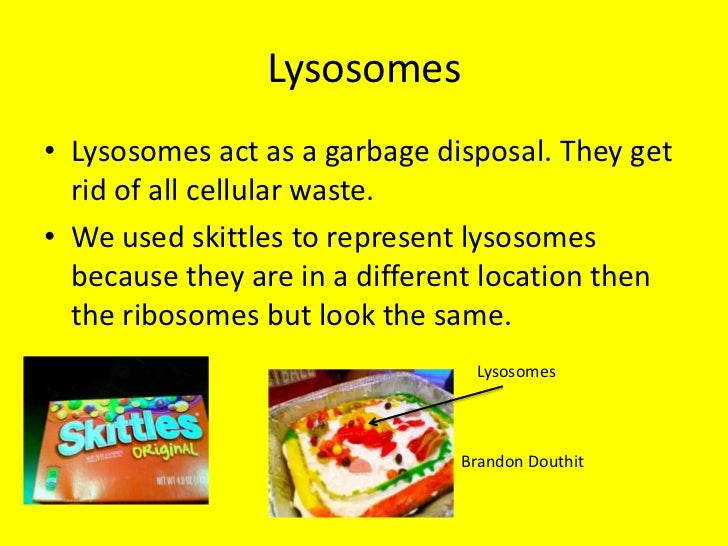 Edible Cell Presentation