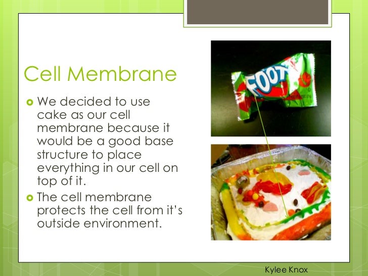Edible Cell Presentation
