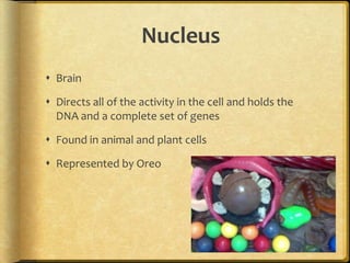 PAHS Fantastic Four Edible Cell Model Presentation | PPT