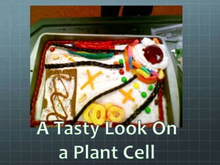 Edible cell project | PPTX