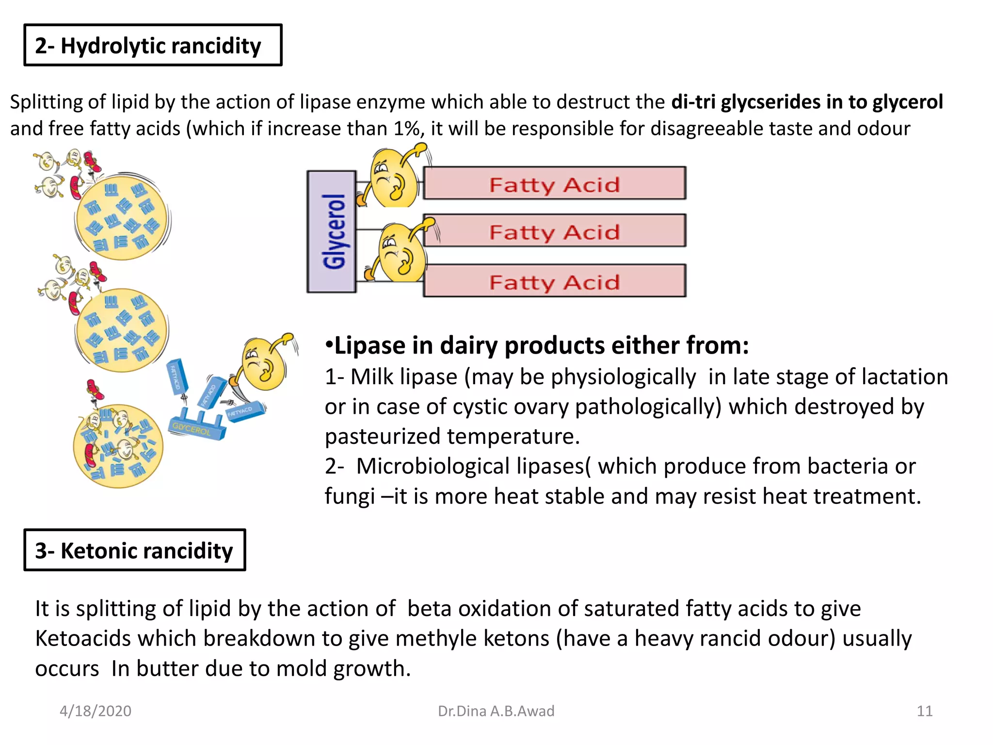 Edible fat and oil | PDF