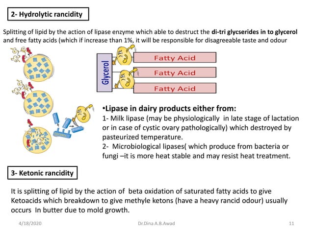 Edible fat and oil | PDF | Cooking | Food & Drink