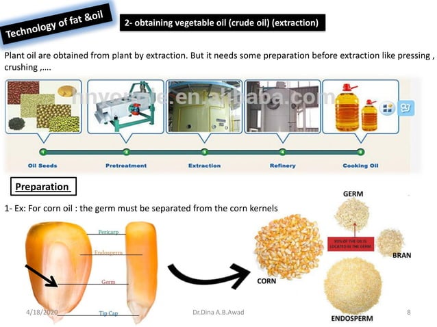 Edible fat and oil | PDF | Cooking | Food & Drink