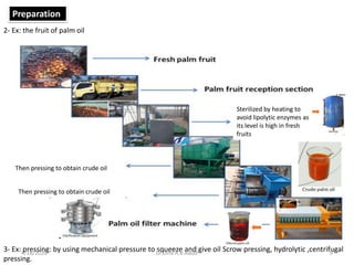 Edible fat and oil | PDF