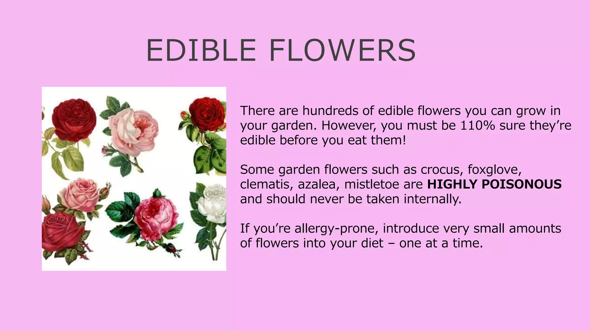 EDIBLE FLOWERS: Add Color and Flavor to Your Garden and Meals | PPT