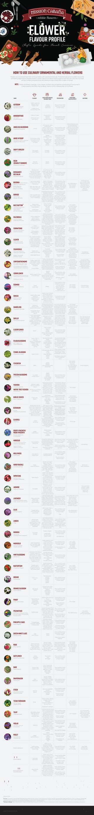 Edible Flower Flavour Profile | PDF