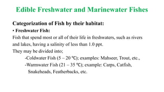 Edible fresh and saltwater fishes.pptxhb | PPTX