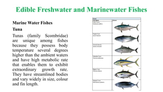 Edible fresh and saltwater fishes.pptxhb | PPT